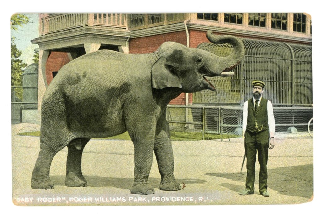 An Elephant is Murdered in Chepachet in 1826 - Online Review of Rhode ...